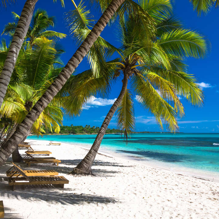 deturista.com - Paquete a Curacao por 8 días